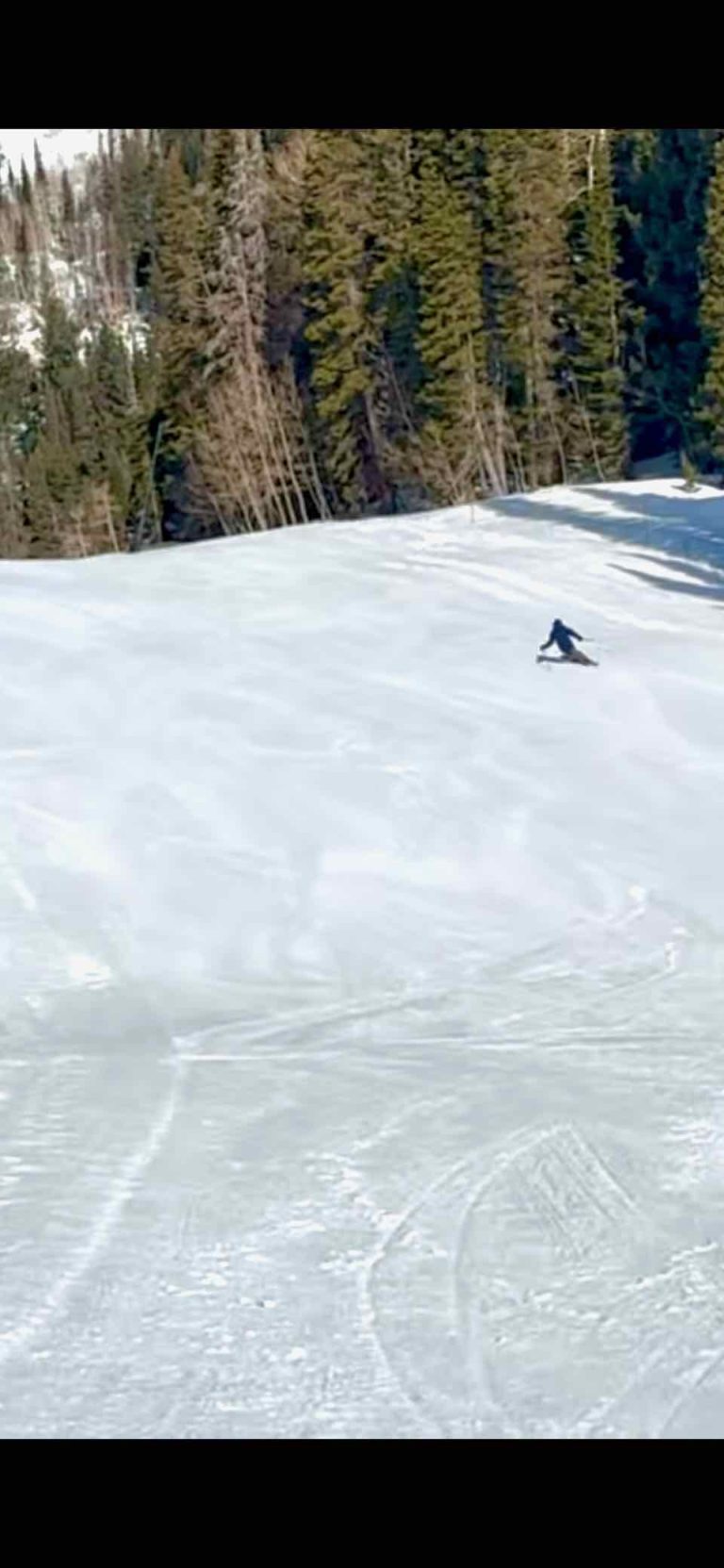 Guru Dave Snow Report – Daily Ski and Snowboard Conditions for Snowbird ...